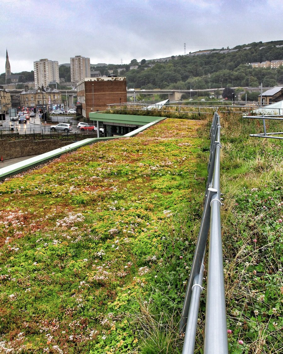 Halifax Bus Station - SGP