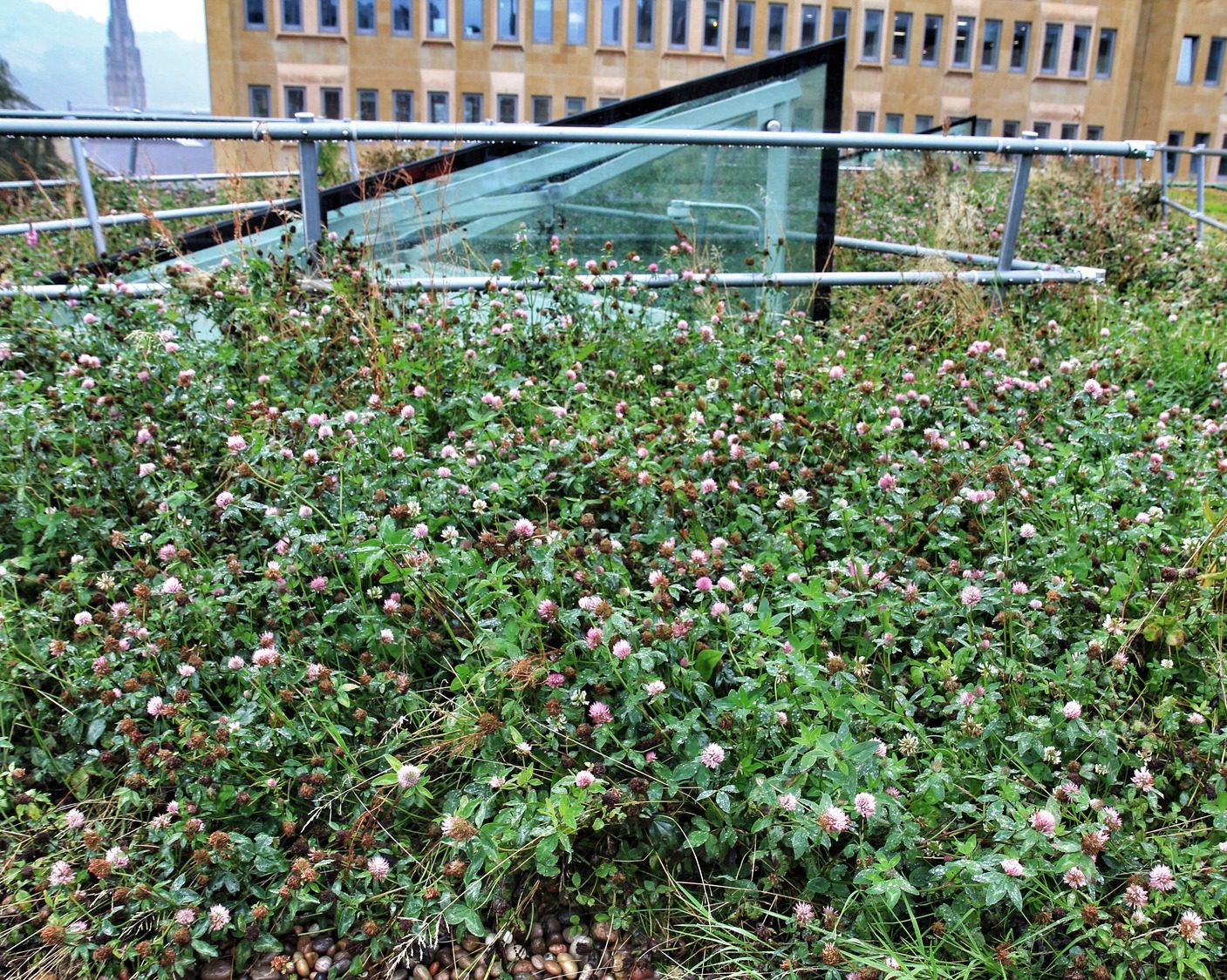 Halifax Bus Station - SGP